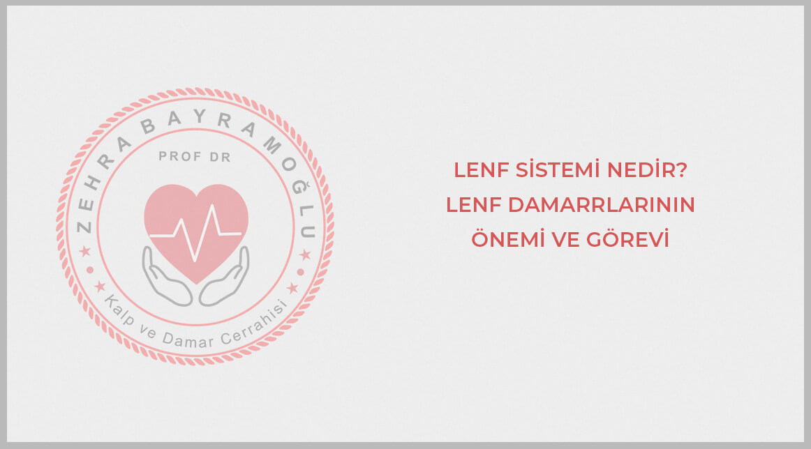Lenf Sistemi Nedir Lenf Damarlarının Önemi ve Görevleri